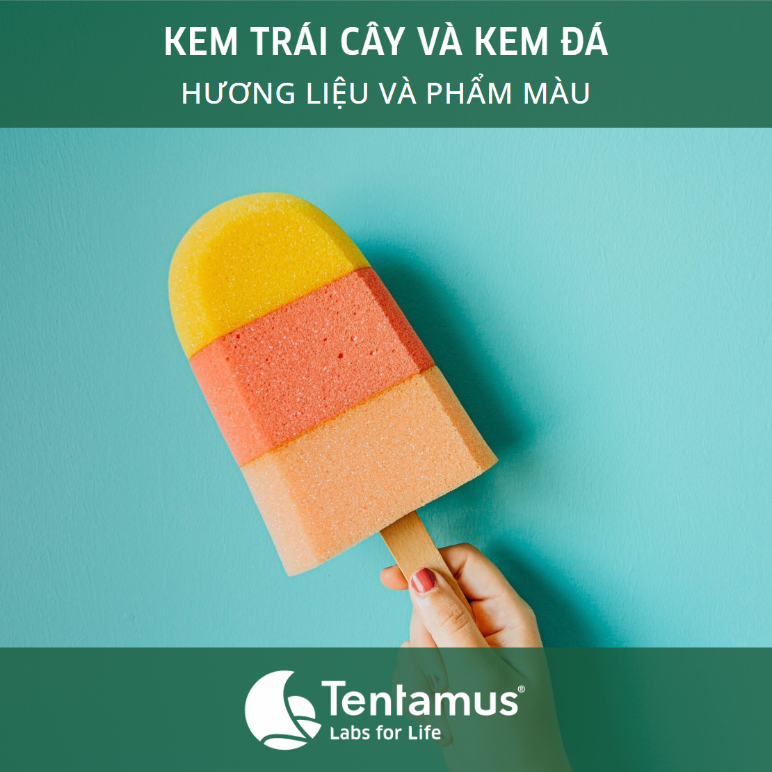 KEM TRÁI CÂY VÀ KEM ĐÁ - Tentamus Vietnam